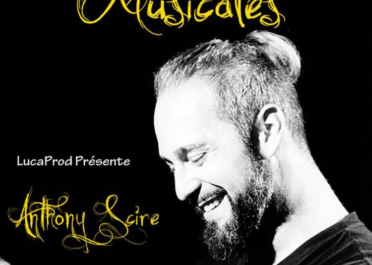 Concerts dans le Gard en 2020 et 2021