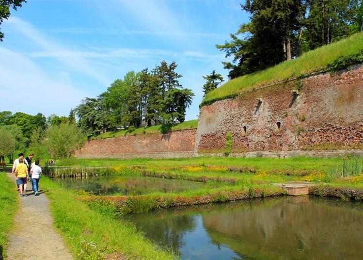 Sortir à Le Quesnoy avec l'agenda culturel
