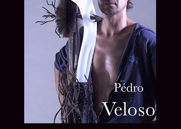 Agenda Culturel de Charente-Maritime 2018 et 2019